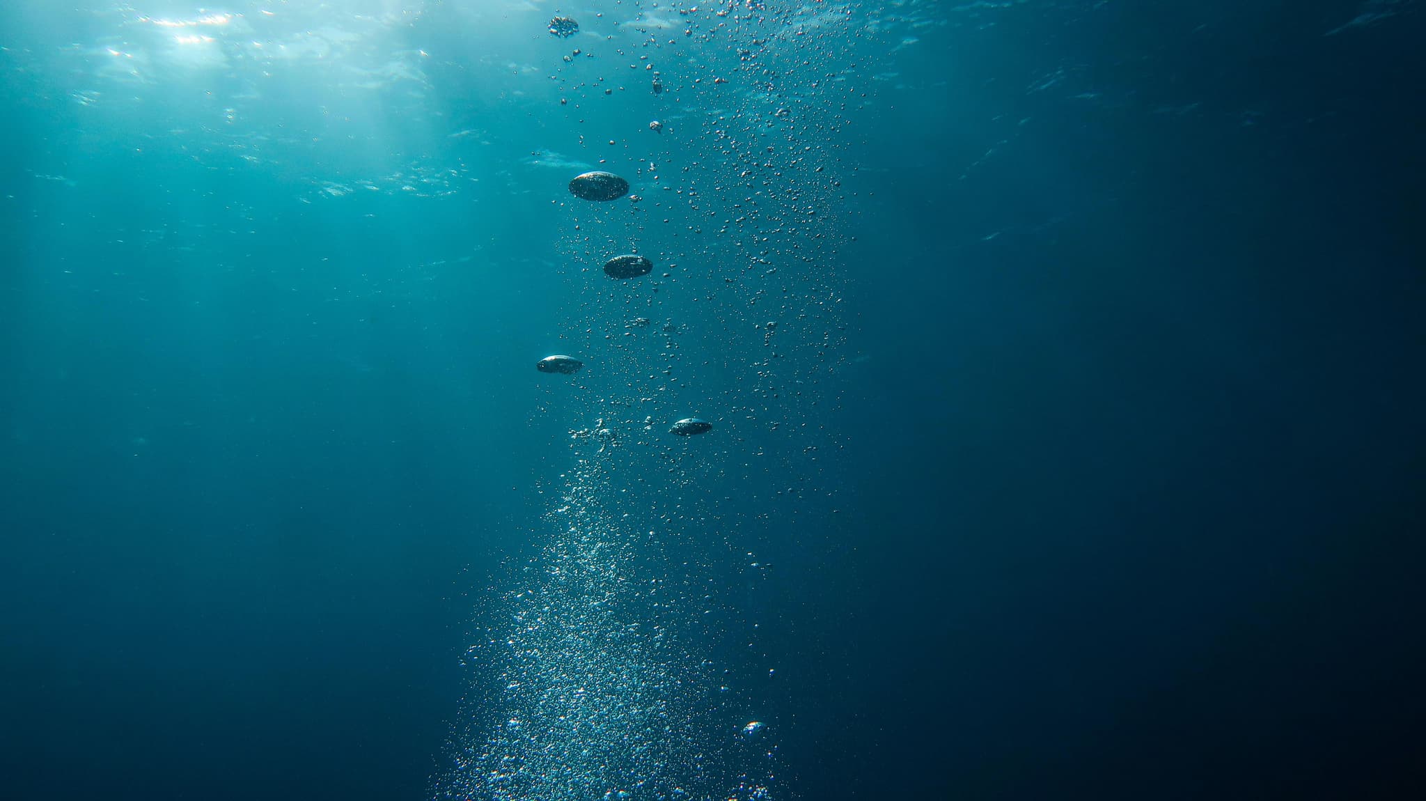 JASCO ShipConsult – Ship Noise & Underwater Acoustic Control